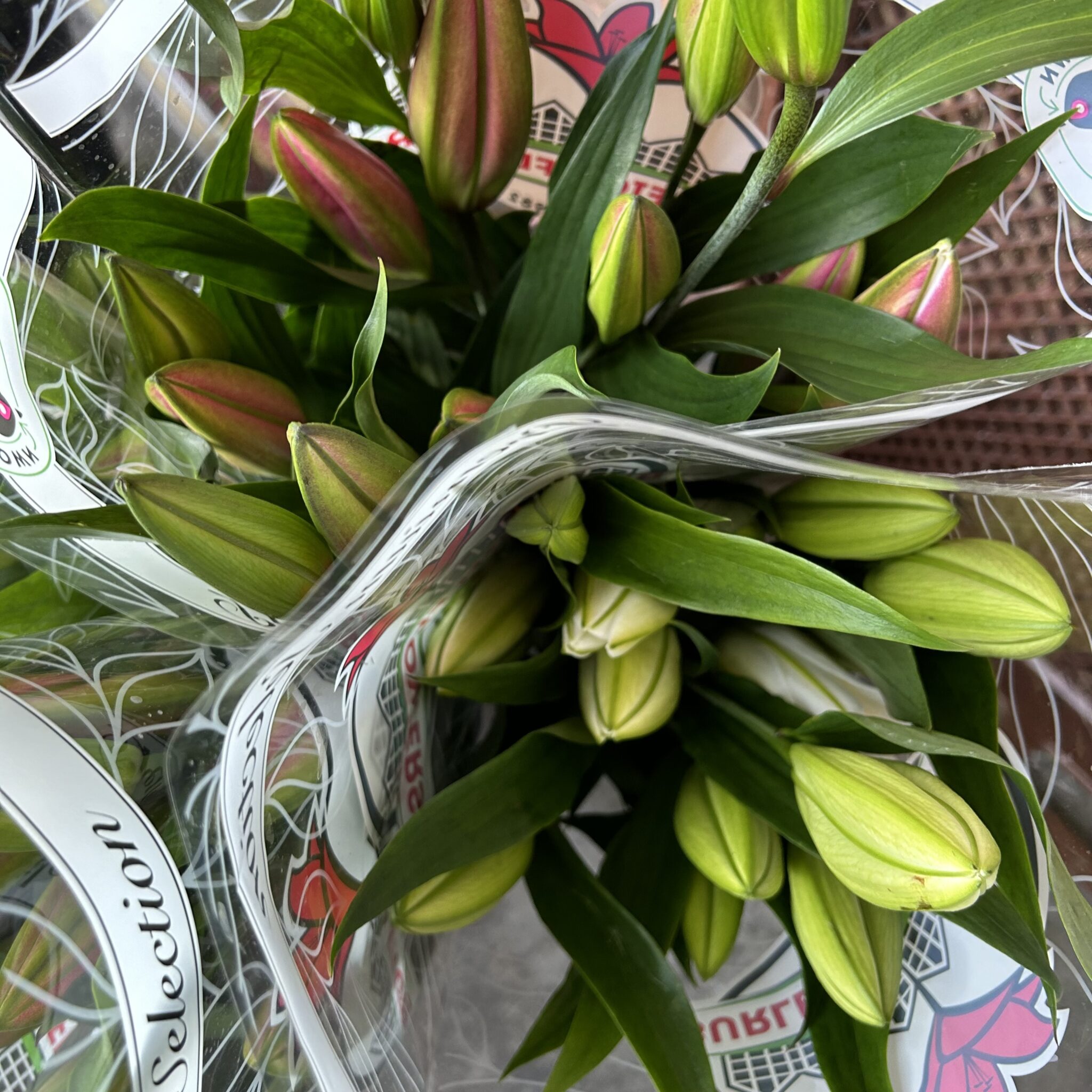 Lily | The Flower Express