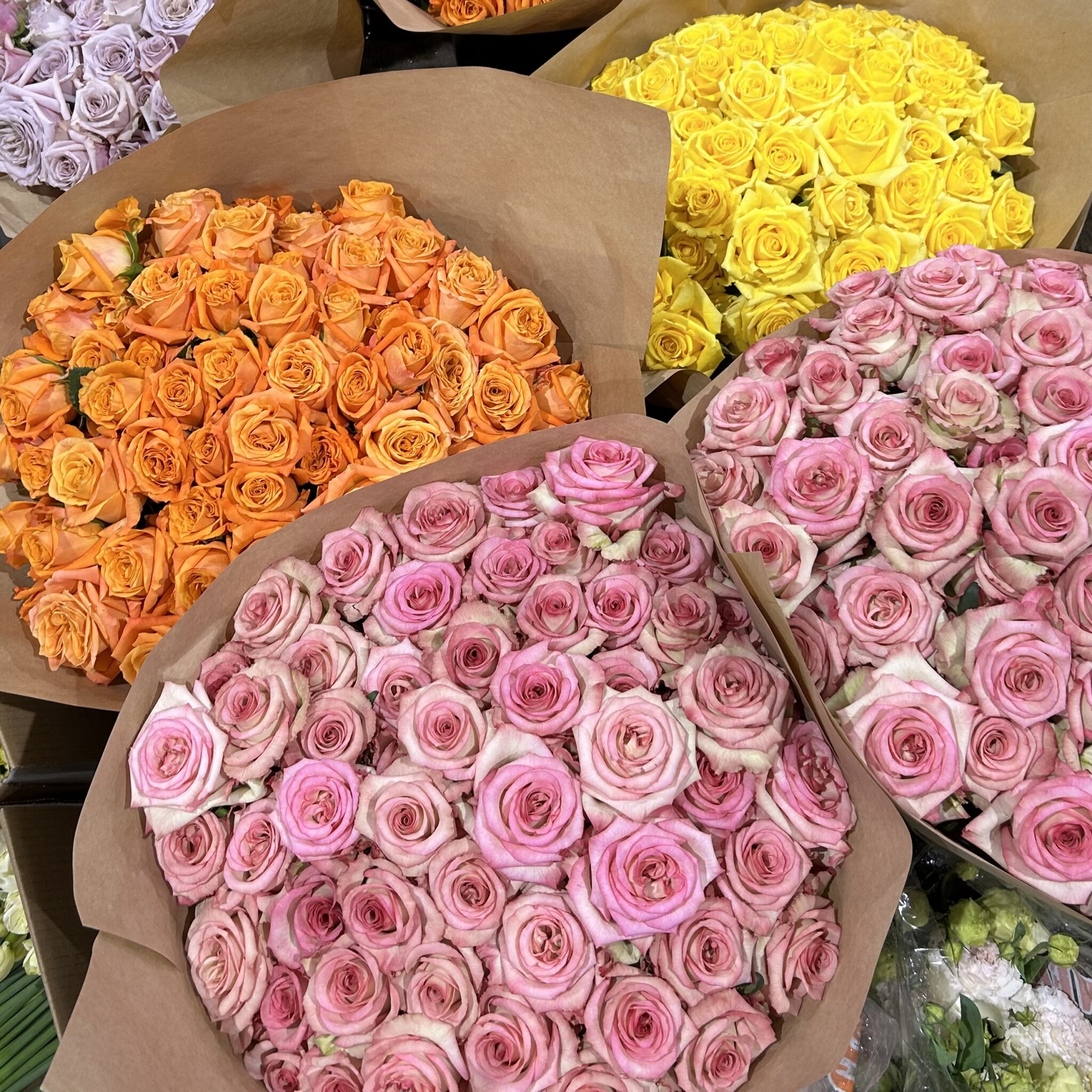 Garden Rose - Bundle - The Flower Express