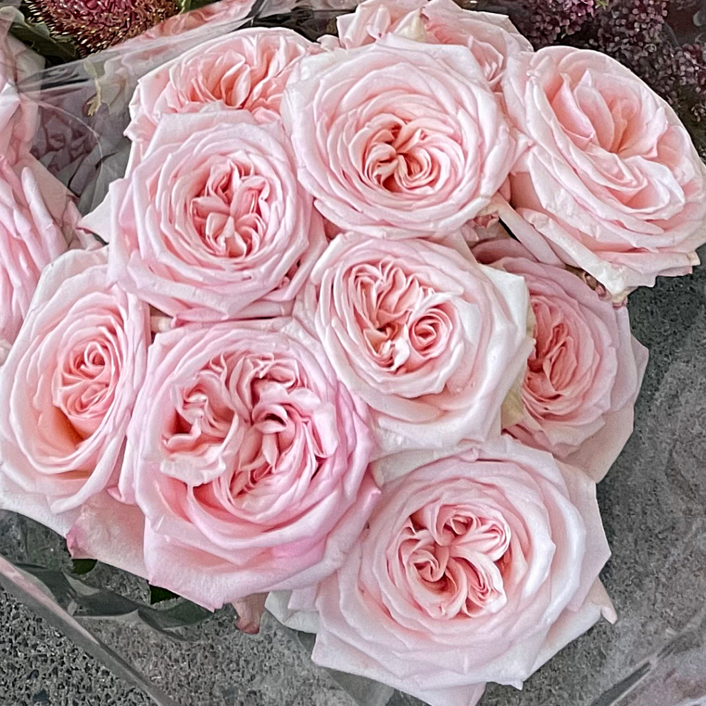 Roses (Garden) - 10 stems - The Flower Express