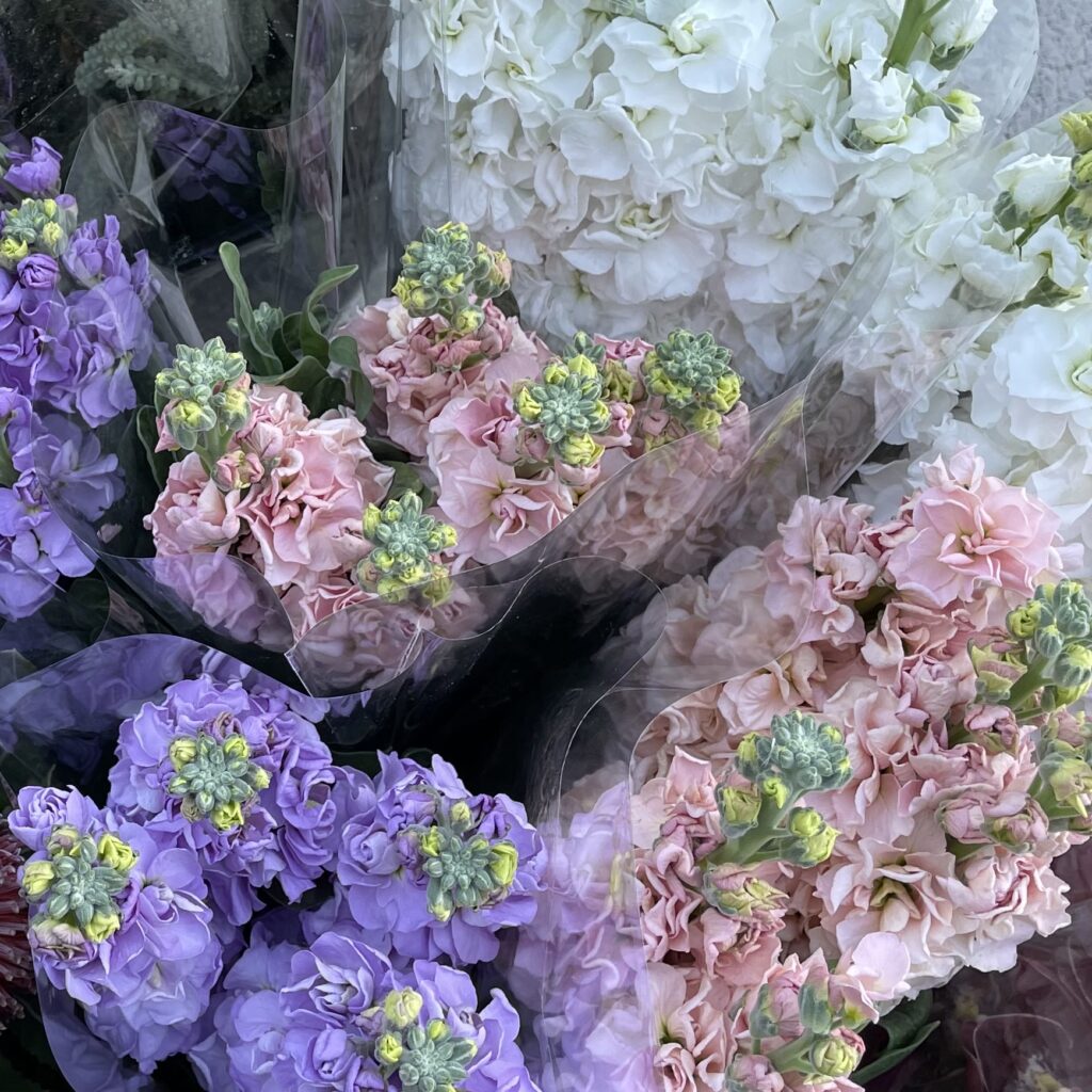 Stock - The Flower Express