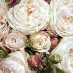 Flower menu - The Flower Express