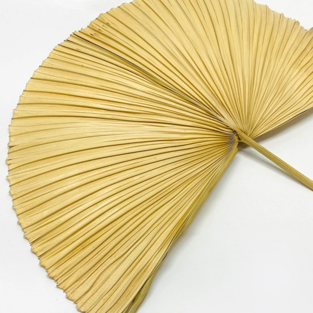 Palm Fan - The Flower Express