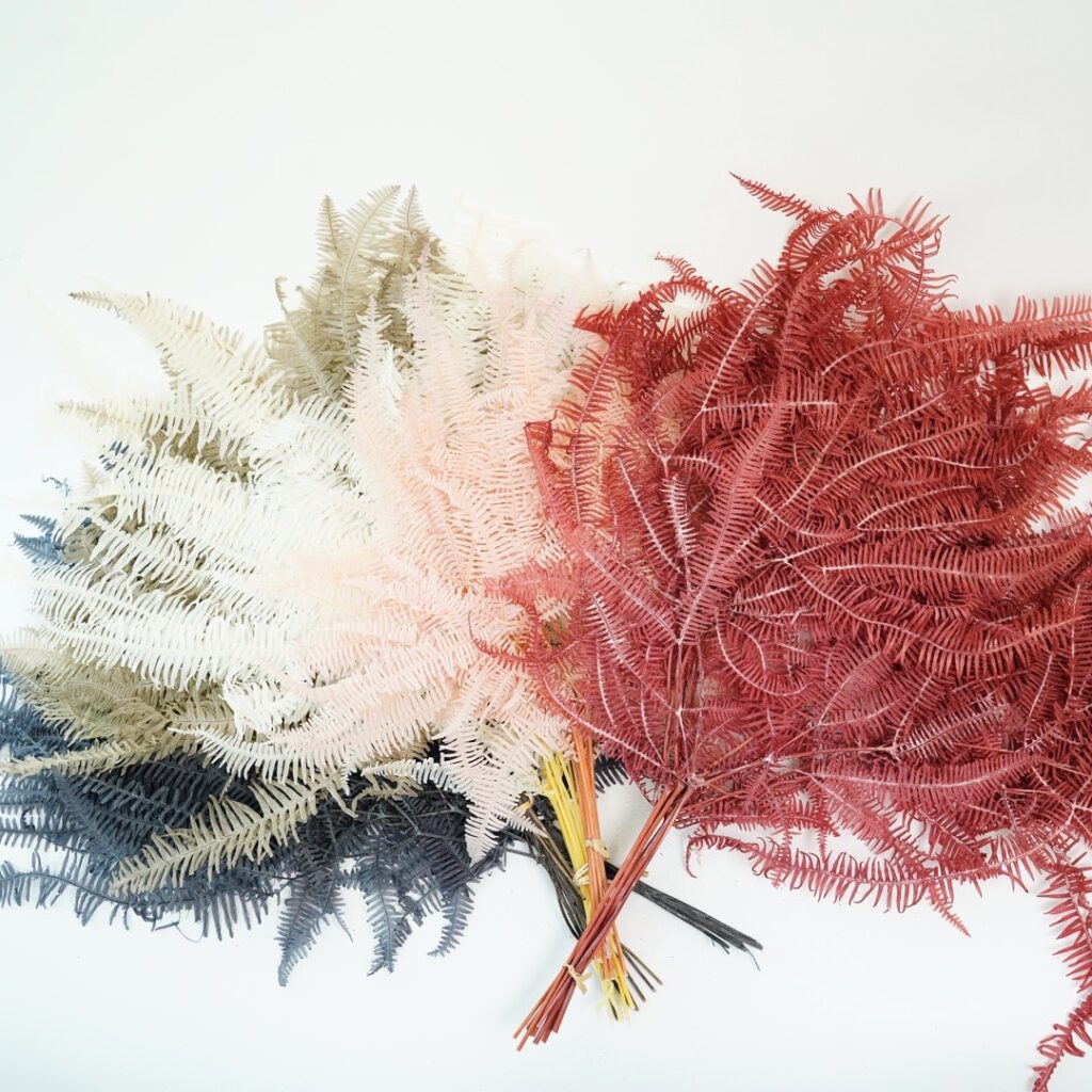 Mountain Fern - The Flower Express