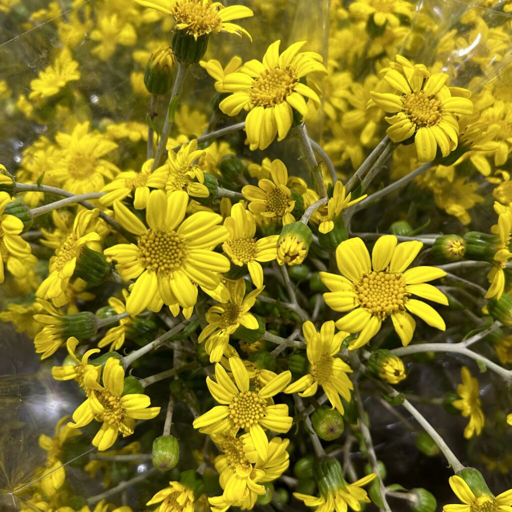 Tractor Seed - The Flower Express